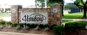 Homepage - Windsong Insider